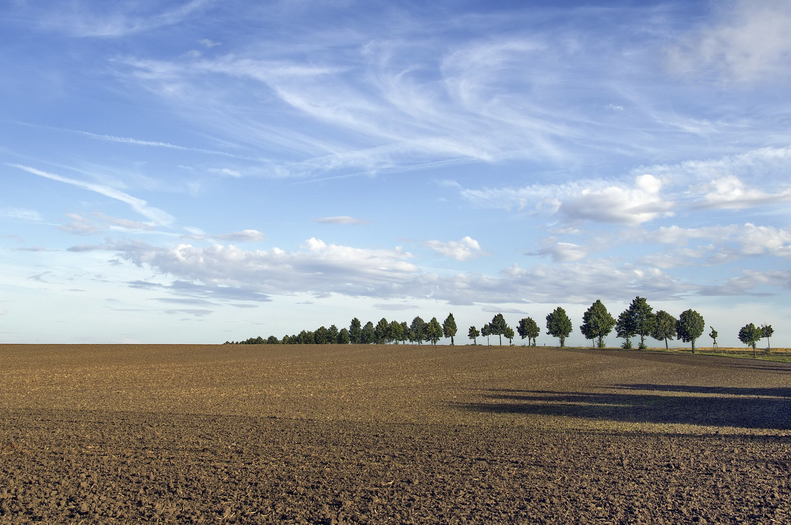 °In einer Reihe° Foto & Bild | natur, landschaft Bilder auf fotocommunity