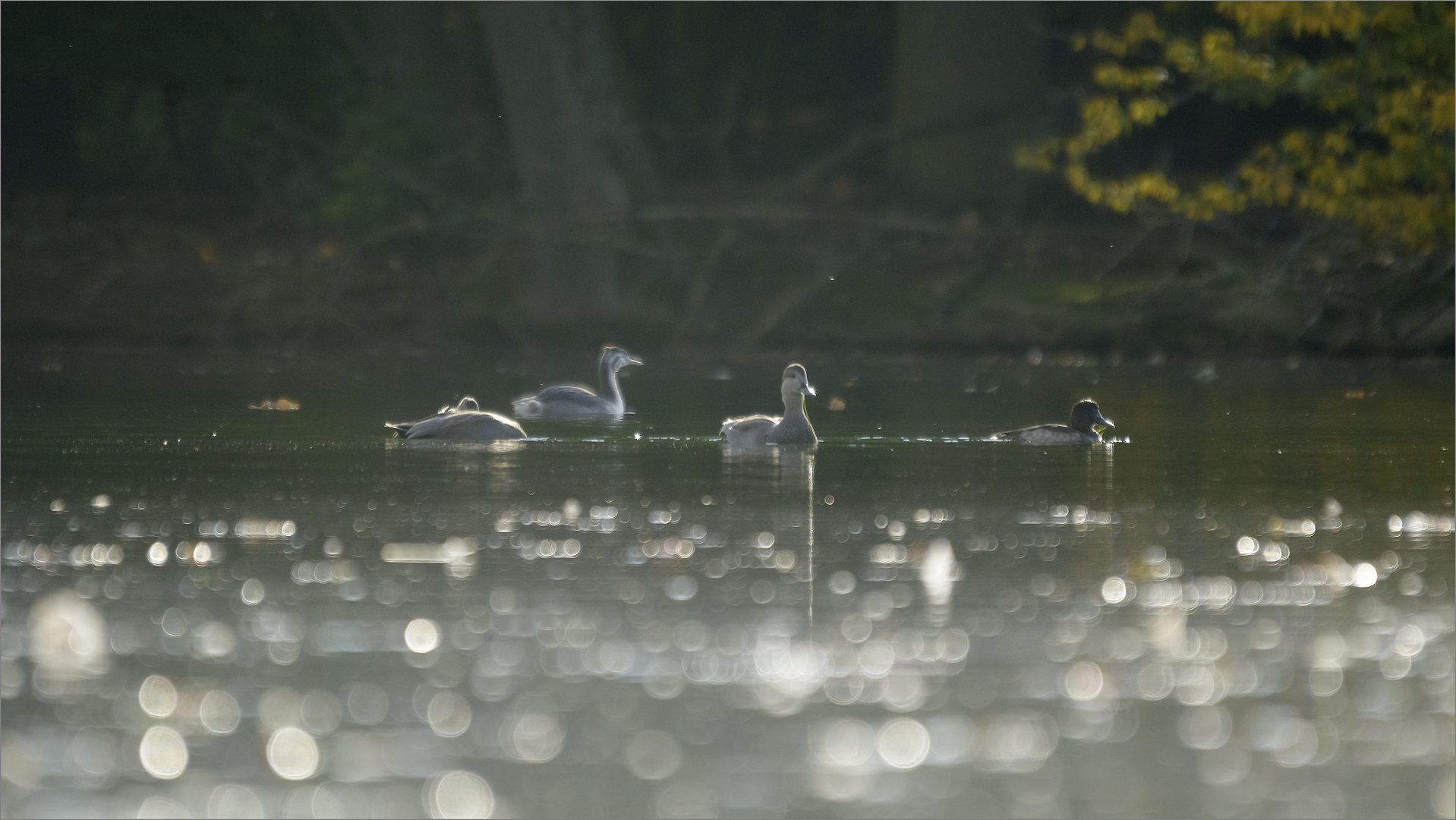 in guter Gesellschaft Foto & Bild | park, münchen, natur Bilder auf ...