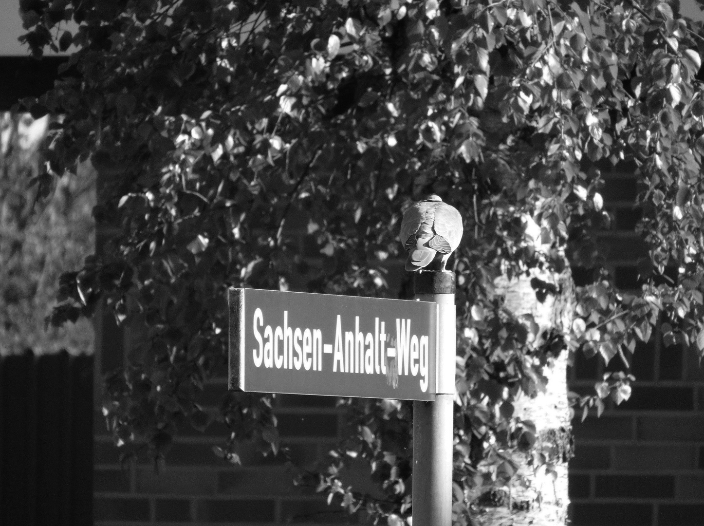 in Hemmoor ... Foto & Bild | street, dokumentation, outdoor Bilder auf ...