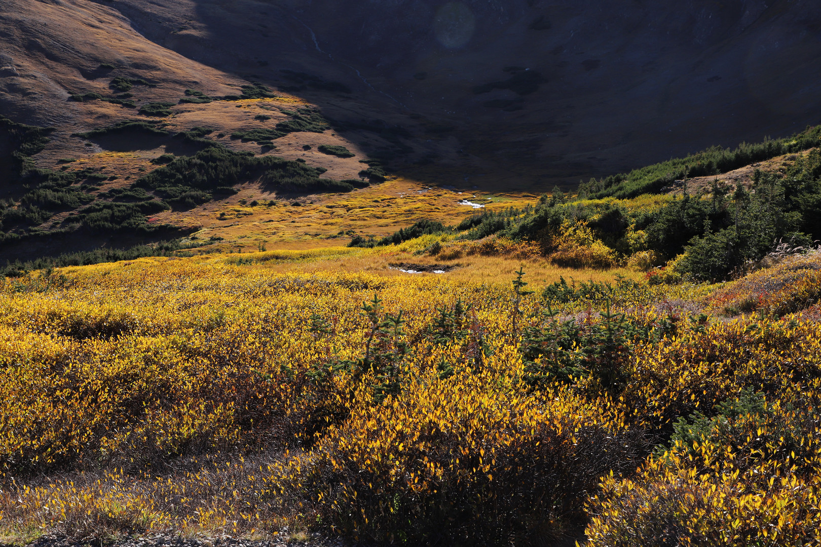 In knapp 3.500 m unterhalb des Fall River Pass... Foto & Bild | north ...