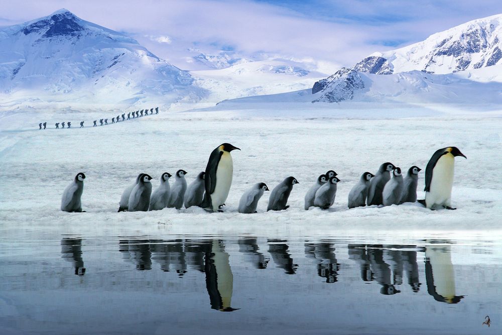 In Reih u. Glied Foto & Bild | digiart Bilder auf fotocommunity