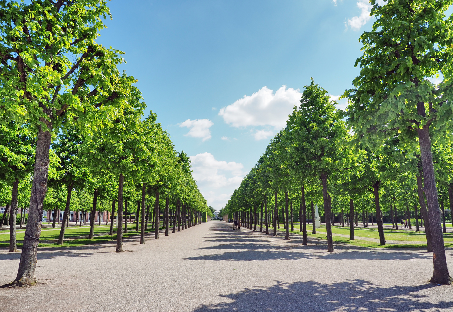 ..in Reih und Glied Foto & Bild | landschaft, garten ...