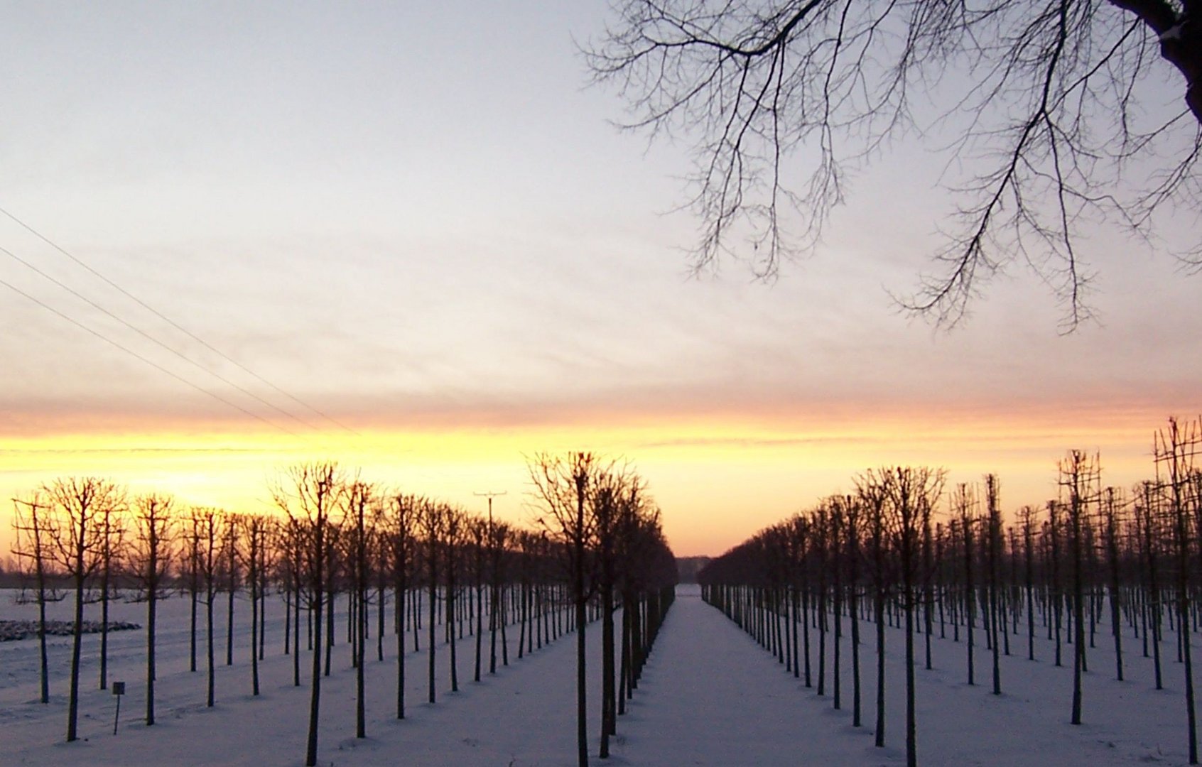in Reih' und Glied Foto & Bild | jahreszeiten, schöne augenblicke ...