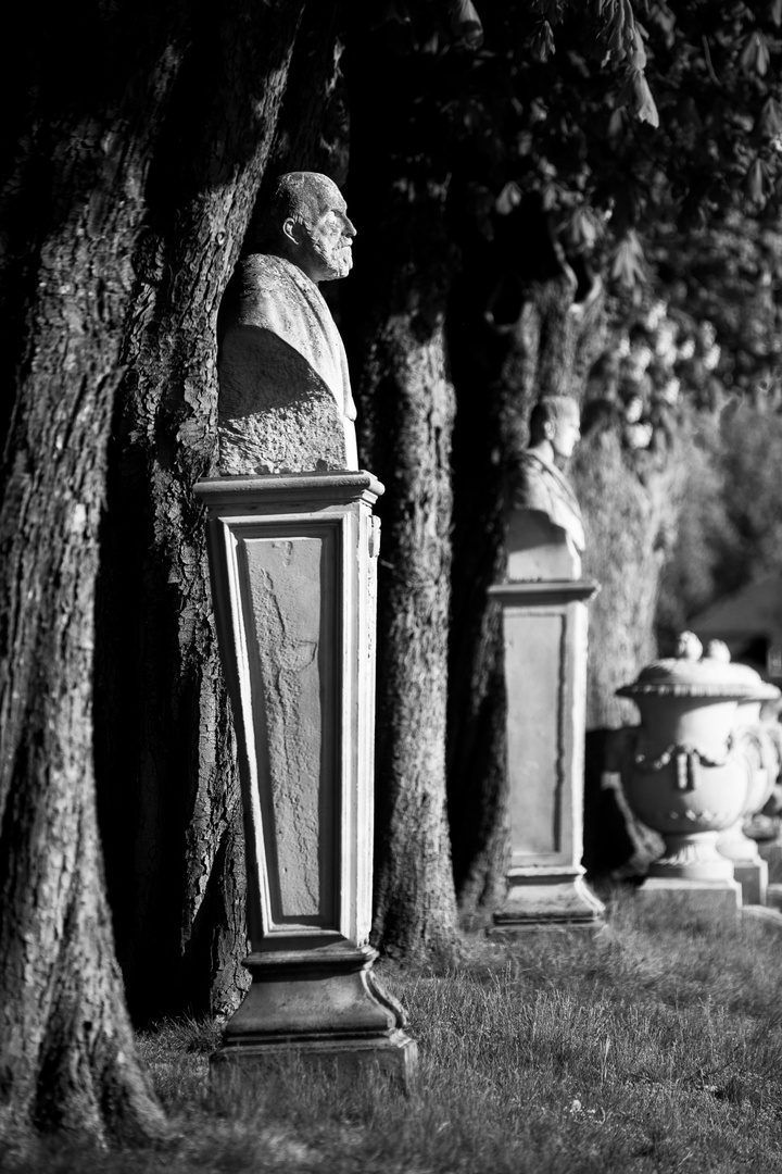 in Reih und Glied Foto & Bild | deutschland, europe, nordrhein ...