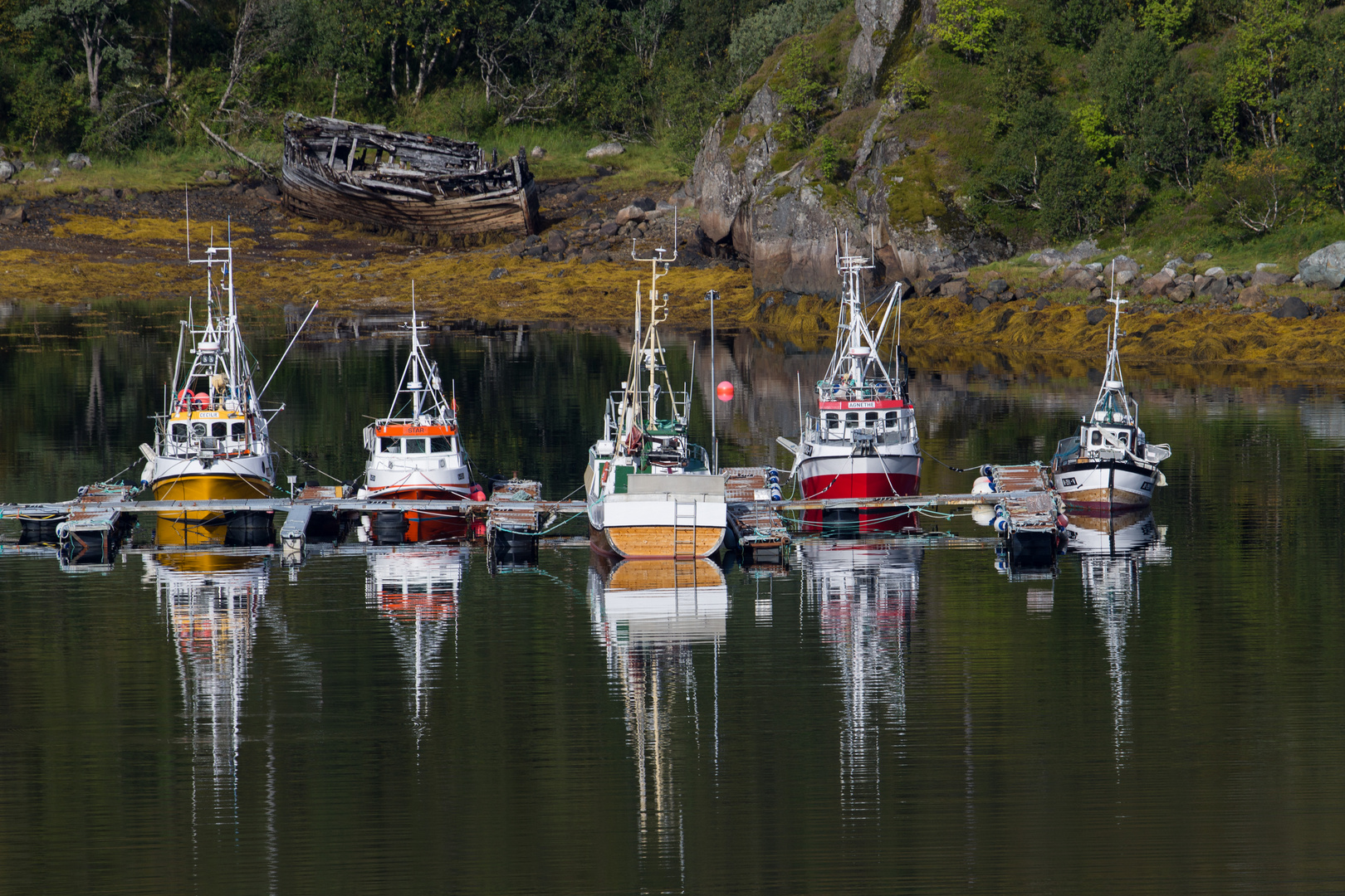 In Reih und Glied... Foto & Bild | world, landschaft, norwegen Bilder ...