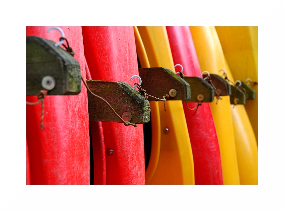 In Reih und Glied Foto & Bild | sport, segel- surf- & bootssportarten ...