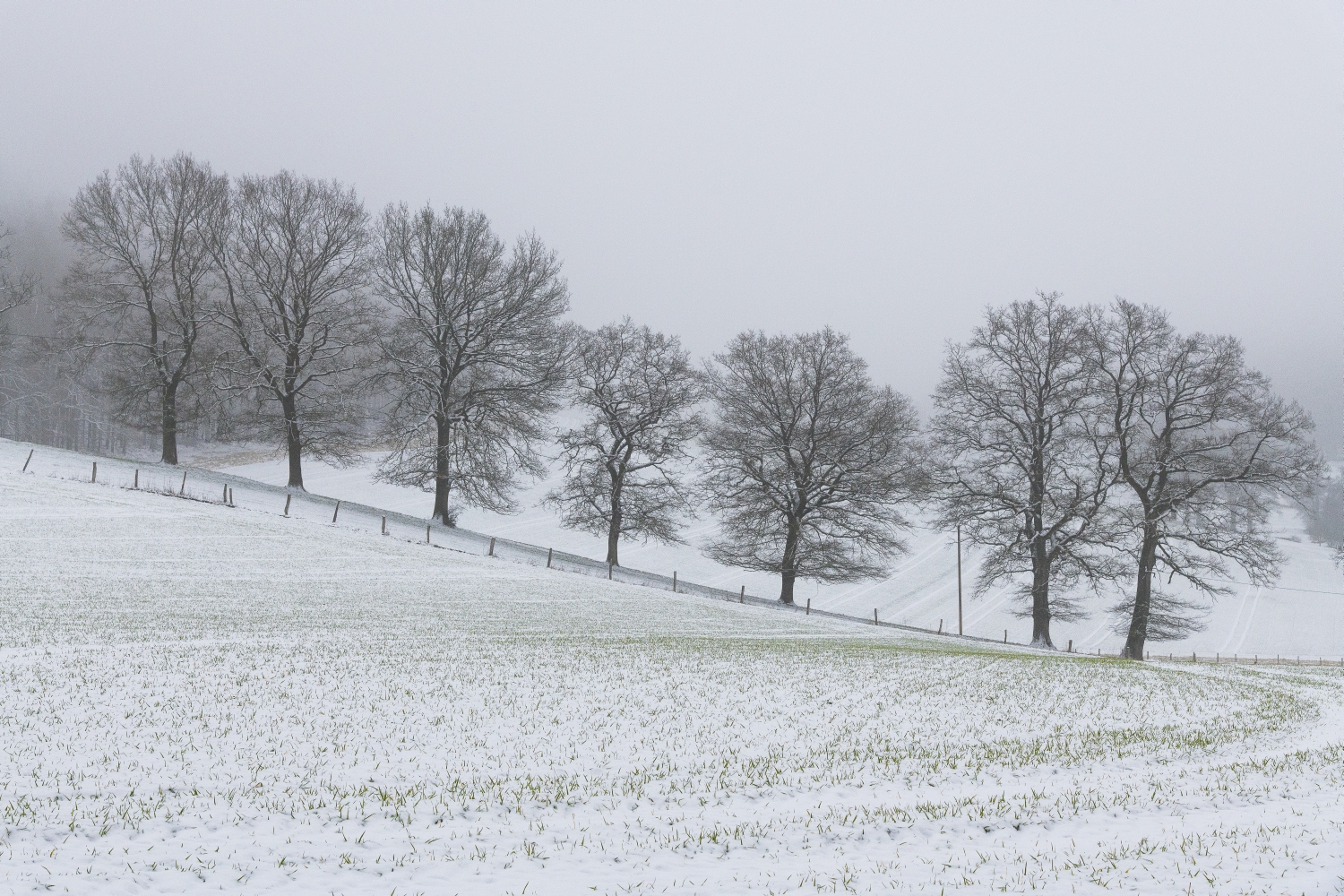 in Reih und Glied Foto & Bild | deutschland, europe, nordrhein ...