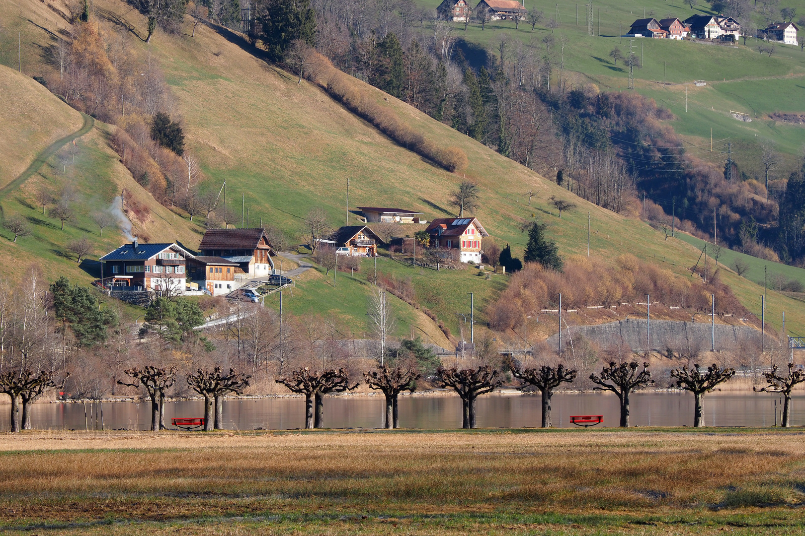 in reih und glied Foto & Bild | landschaft, motive, natur Bilder auf ...