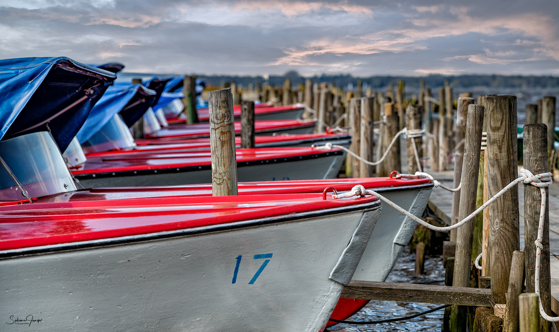 In Reih' und Glied Foto & Bild | world, spezial, natur Bilder auf ...