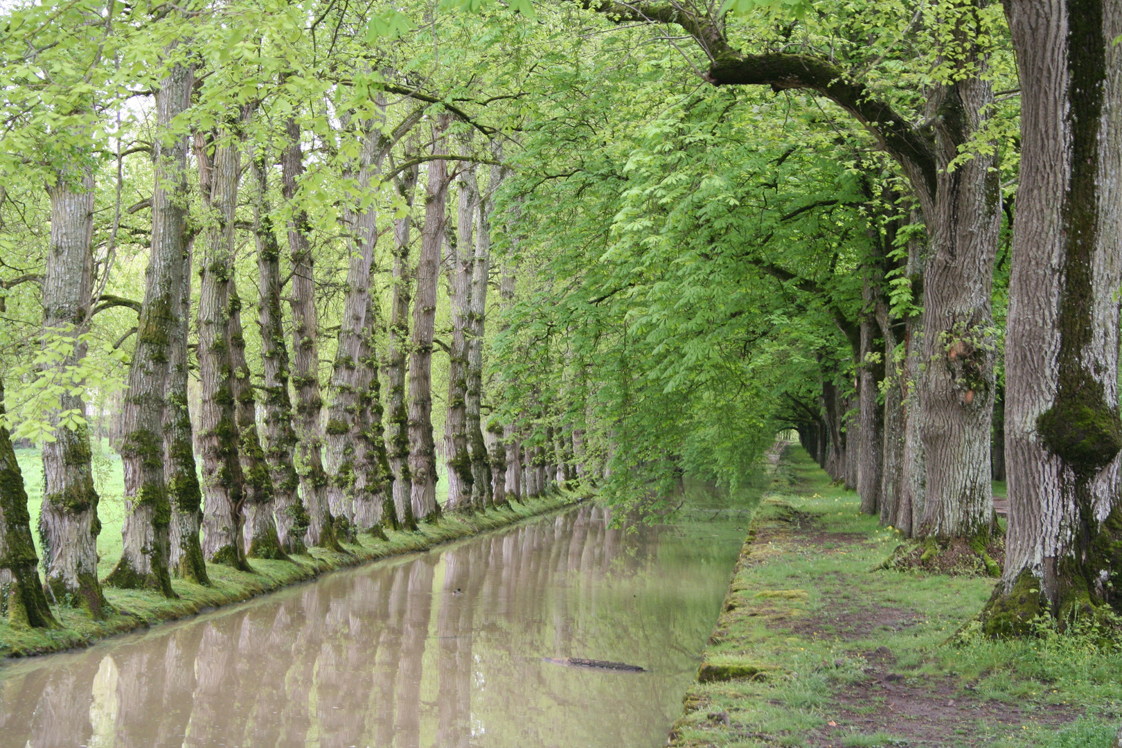 In Reih und Glied! Foto & Bild | landschaft, jahreszeiten, garten ...