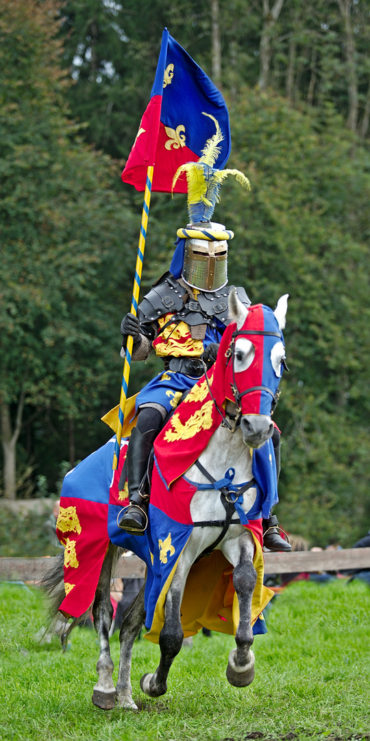 In voller Rüstung Foto & Bild | dokumentation, reiter, pferde Bilder ...