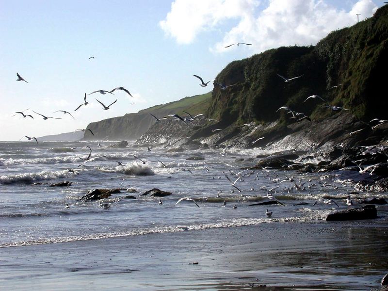 Inch Strand Foto & Bild | europe, united kingdom & ireland, ireland ...