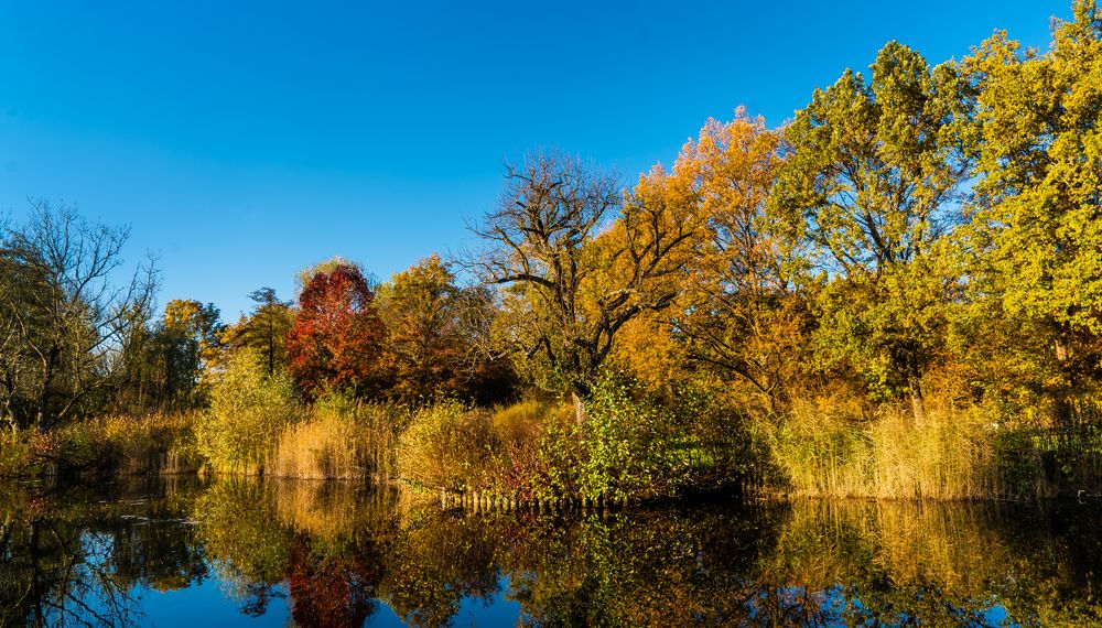 Indian summer Foto & Bild | landschaft, jahreszeiten, herbst Bilder auf fotocommunity