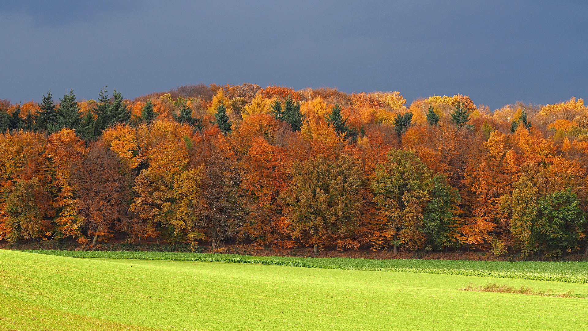 Indian Summer Foto & Bild | landschaft, wald, farben der natur Bilder ...