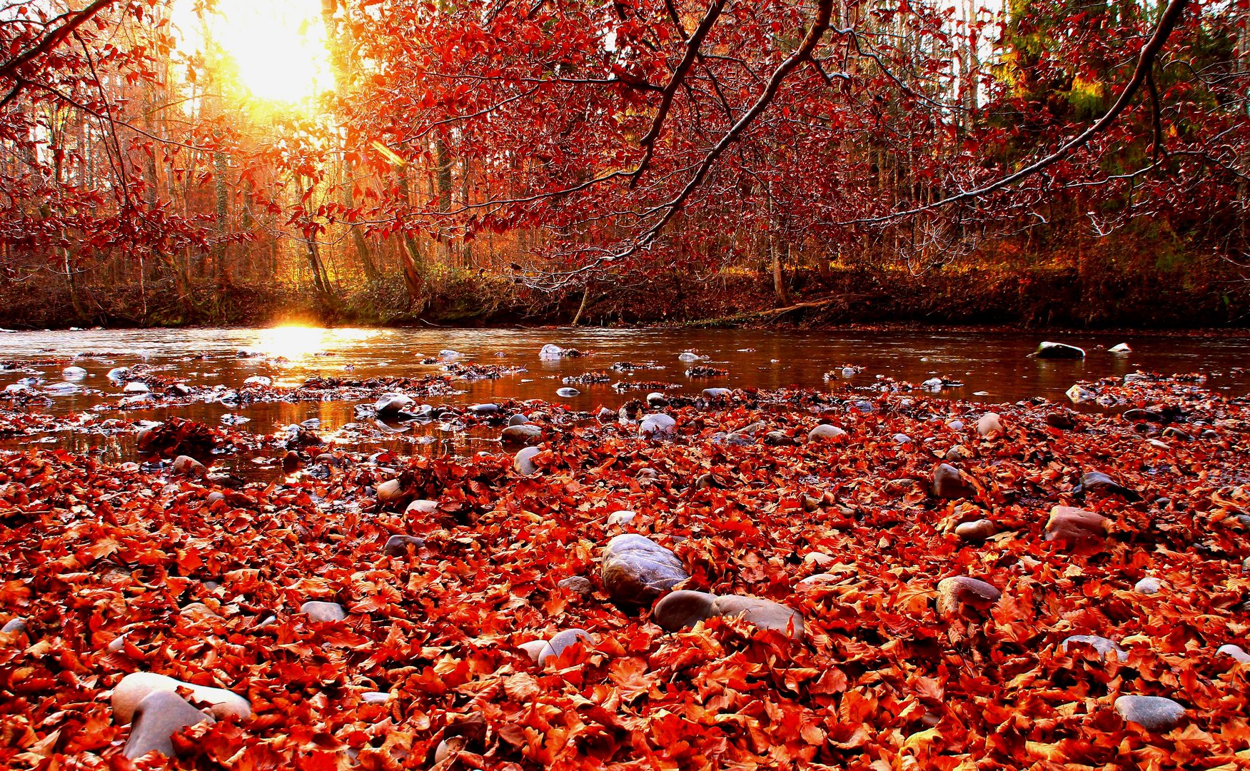 Indian Summer Foto & Bild | jahreszeiten, herbst, indian summer Bilder ...