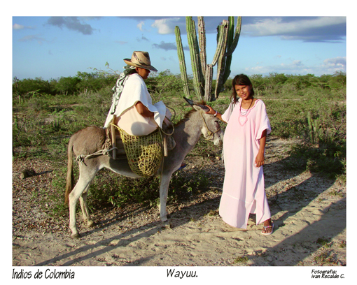 Indios de Colombia. Indios Wayuu. Imagen & Foto | south america, world ...