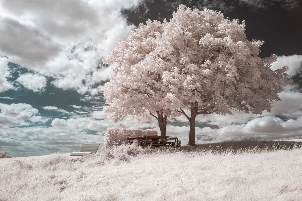 Infrarot Foto & Bild | landschaft, infrarot, himmel Bilder auf ...