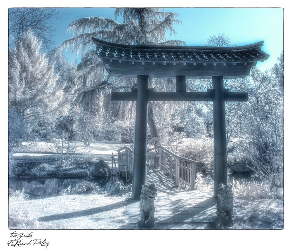 Infrarot Foto & Bild | landschaft, infrarot, bearbeitungs Bilder auf ...