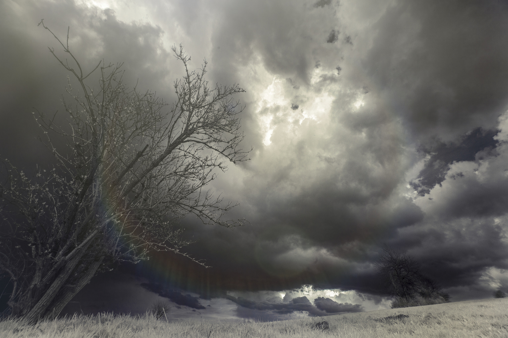 Infrarot Infrared Foto & Bild | archiv - kritik am bild, konstruktive ...