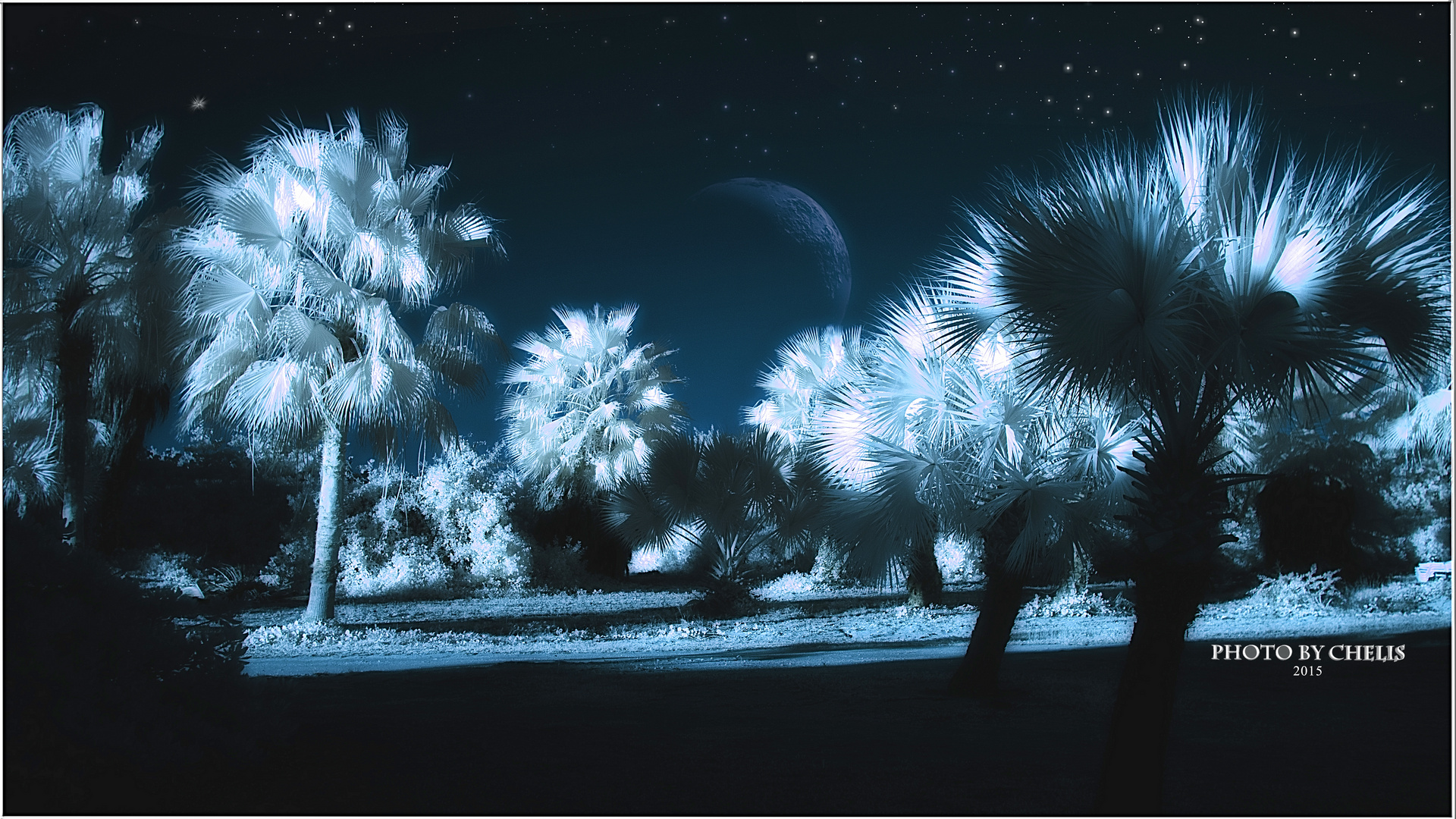 Infrarot, Infrared, IRres aus dem Garten,720nm Foto & Bild | infrarot ...