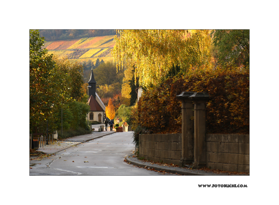 Ingel Fingen Foto & Bild | natur, herbst, wein Bilder auf fotocommunity