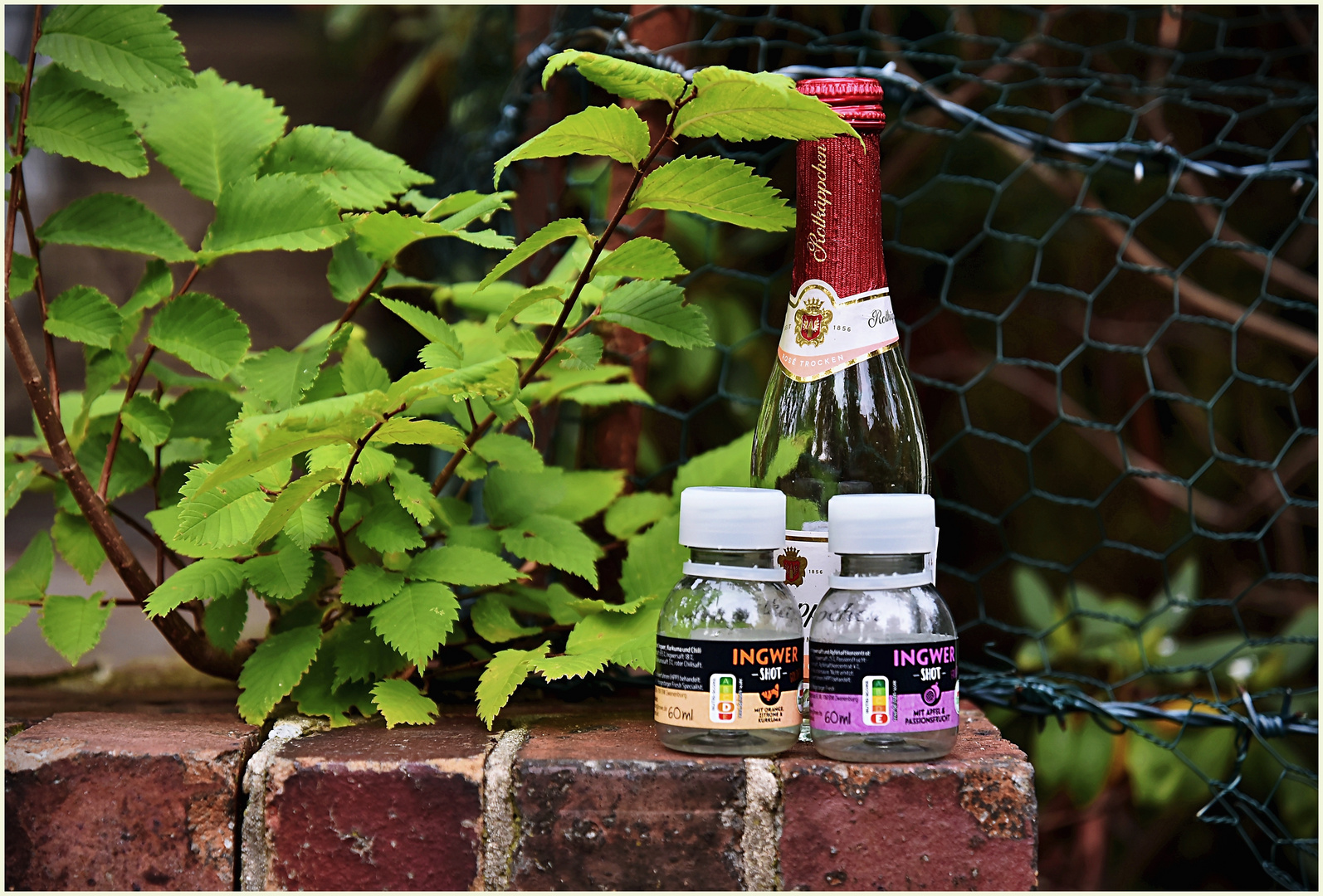 INGWER SHOT Foto & Bild | street, spezial, rot Bilder auf fotocommunity