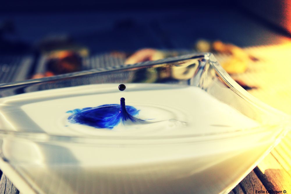 Ink & Milk (Tinte & Milch) Foto & Bild | experimente, wasser, tropfen ...