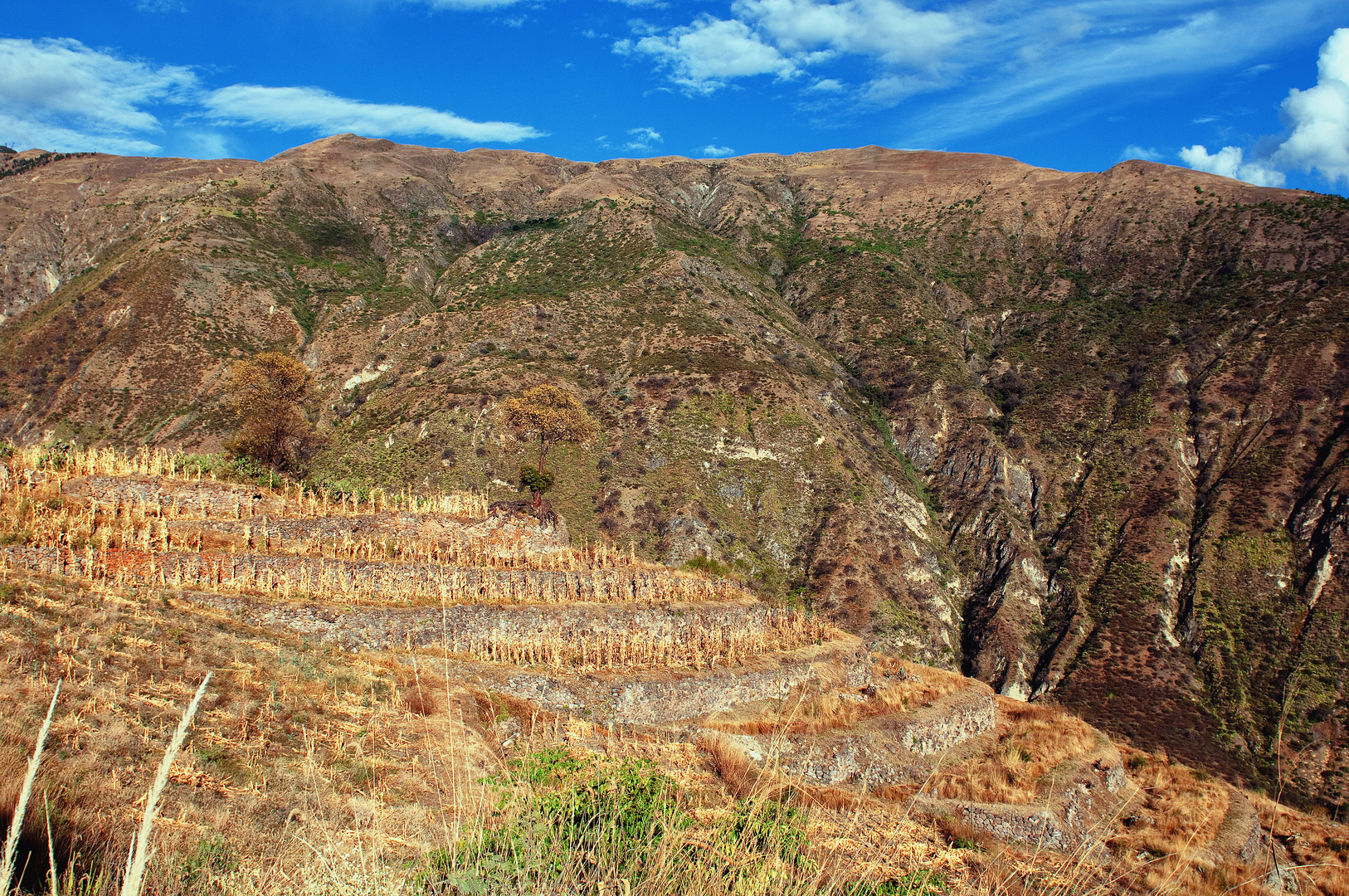 Inka - Terrassen Foto & Bild | south america, peru, world Bilder auf ...