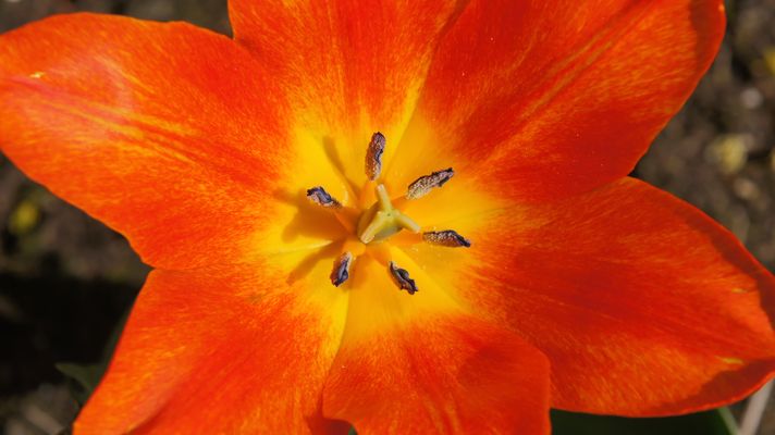 Natur, Naturbilder, Naturfotografie