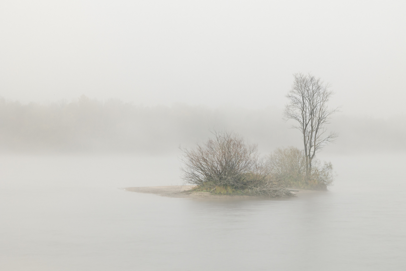 ...Insel im Nebel... Foto & Bild | landschaft, jahreszeiten, herbst Bilder auf fotocommunity
