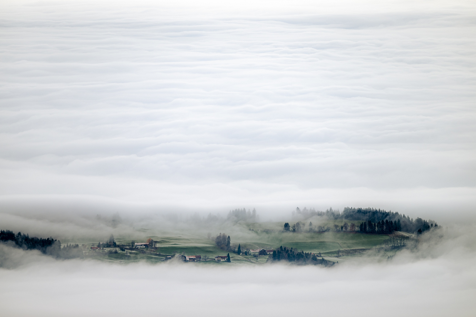 Insel im Nebel Foto & Bild | landschaft, Äcker, felder & wiesen, kulturlandschaften Bilder auf ...
