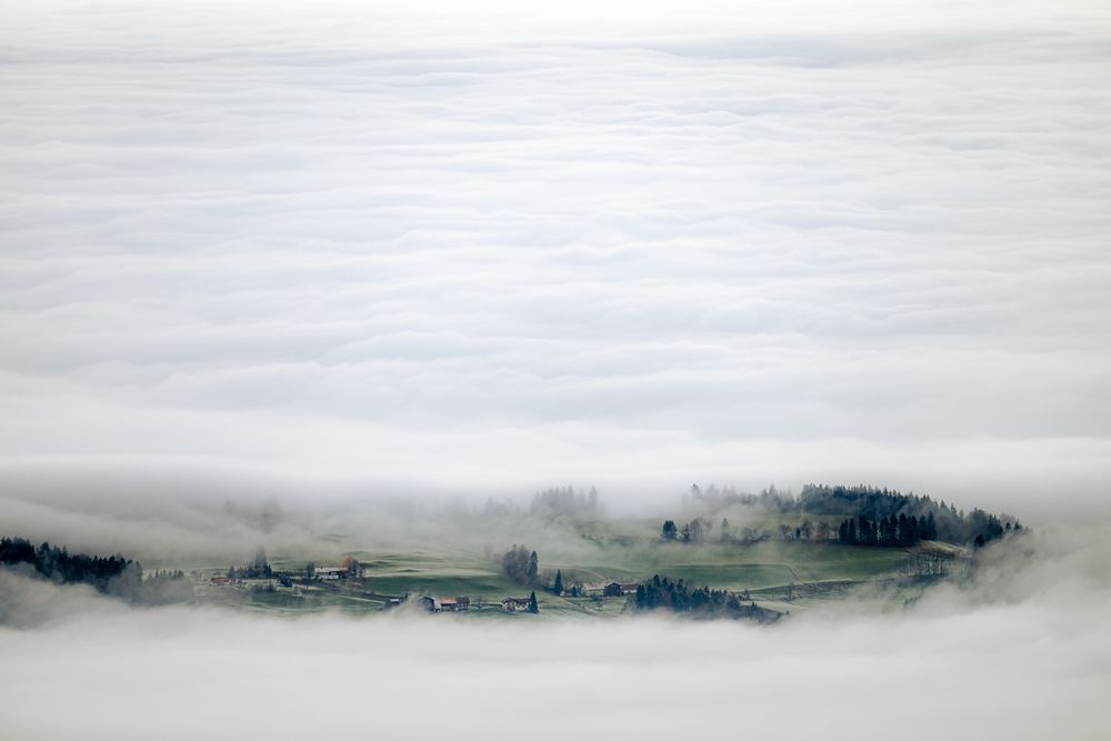 Insel im Nebel Foto & Bild | landschaft, Äcker, felder & wiesen ...
