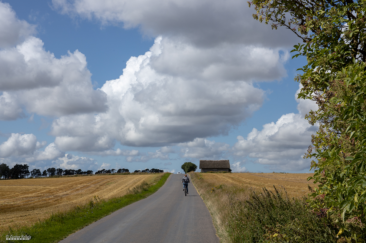 Insel Nyord Foto & Bild | europe, scandinavia, denmark Bilder auf ...