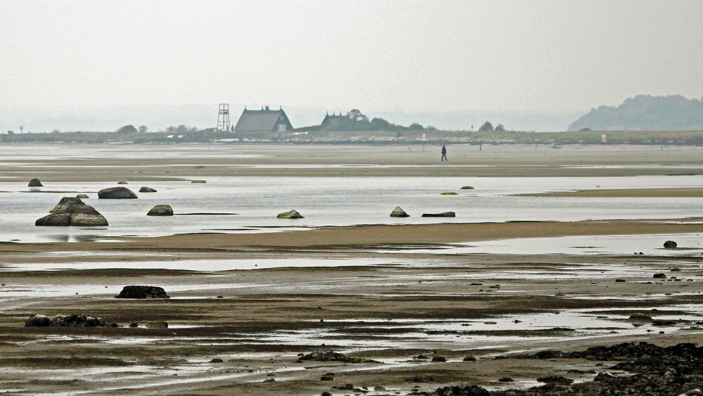 Insel Poel ... Foto & Bild | natur, ostsee, strand Bilder auf fotocommunity