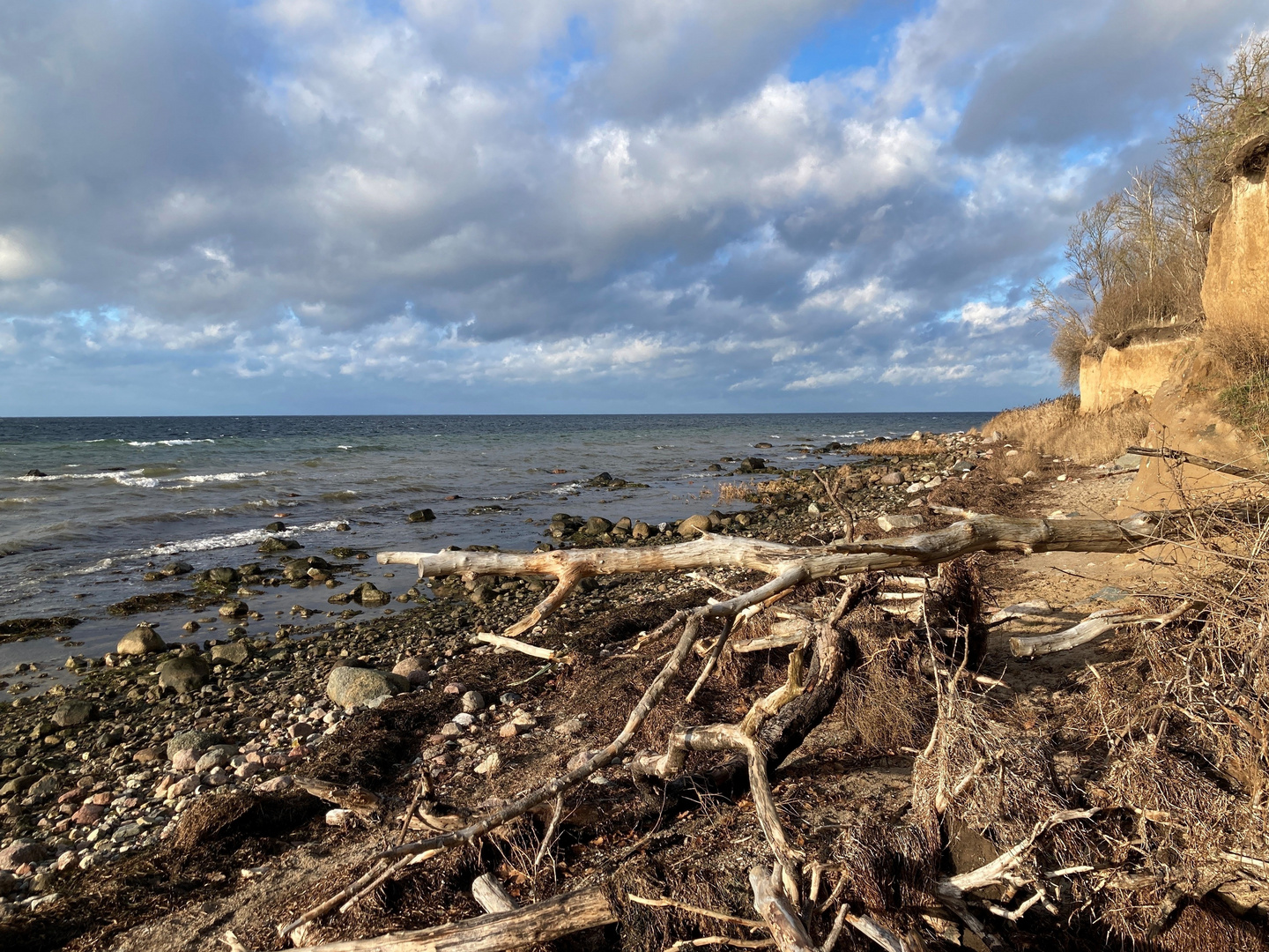 Insel Poel - Strandgut Foto & Bild | landschaft, meer & strand ...