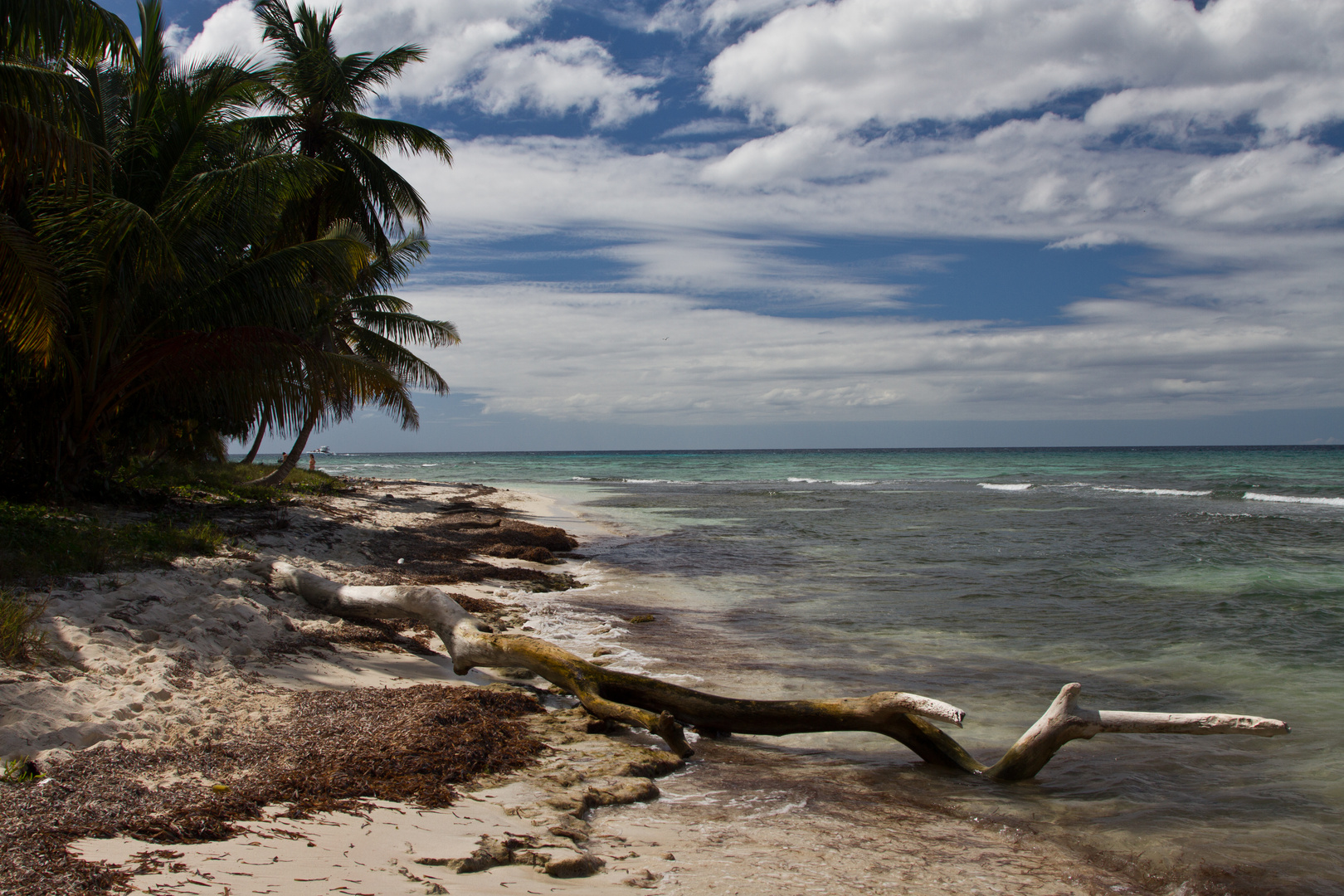 Insel Sanoa Foto & Bild | landschaft, meer & strand, natur Bilder auf ...
