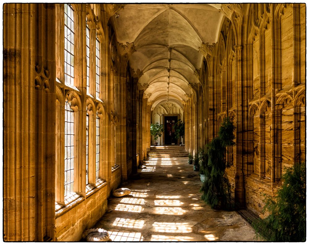 Inside Forde Abbey Foto & Bild | dorset, südwest-england 2023, forde ...