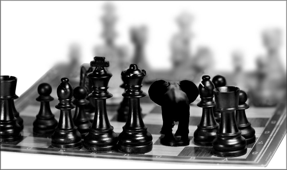 Integration Foto & Bild | sw, artline Bilder auf fotocommunity