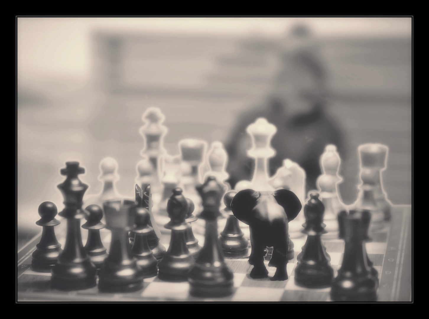 Integration Foto & Bild | humor, composing, digiart Bilder auf ...