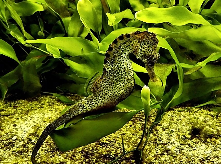 Interessant . . . Foto & Bild | tiere, zoo, wildpark & falknerei, zoo ...