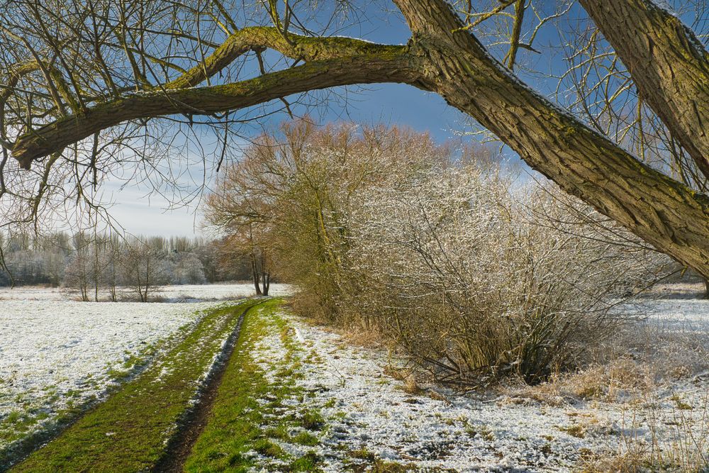 Intermezzo Foto & Bild | landschaft, jahreszeiten, winter Bilder auf fotocommunity