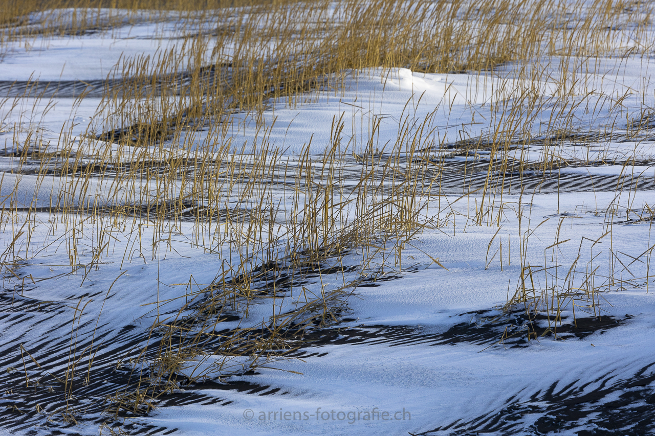 intimate dunescape Foto & Bild | europe, scandinavia, iceland Bilder ...