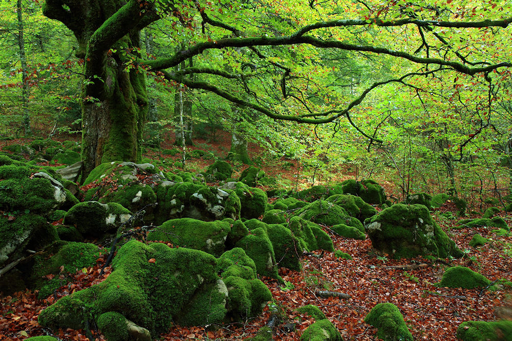 IRATI Imagen & Foto | proyectos de los fotógrafos, calendario 2010 ...