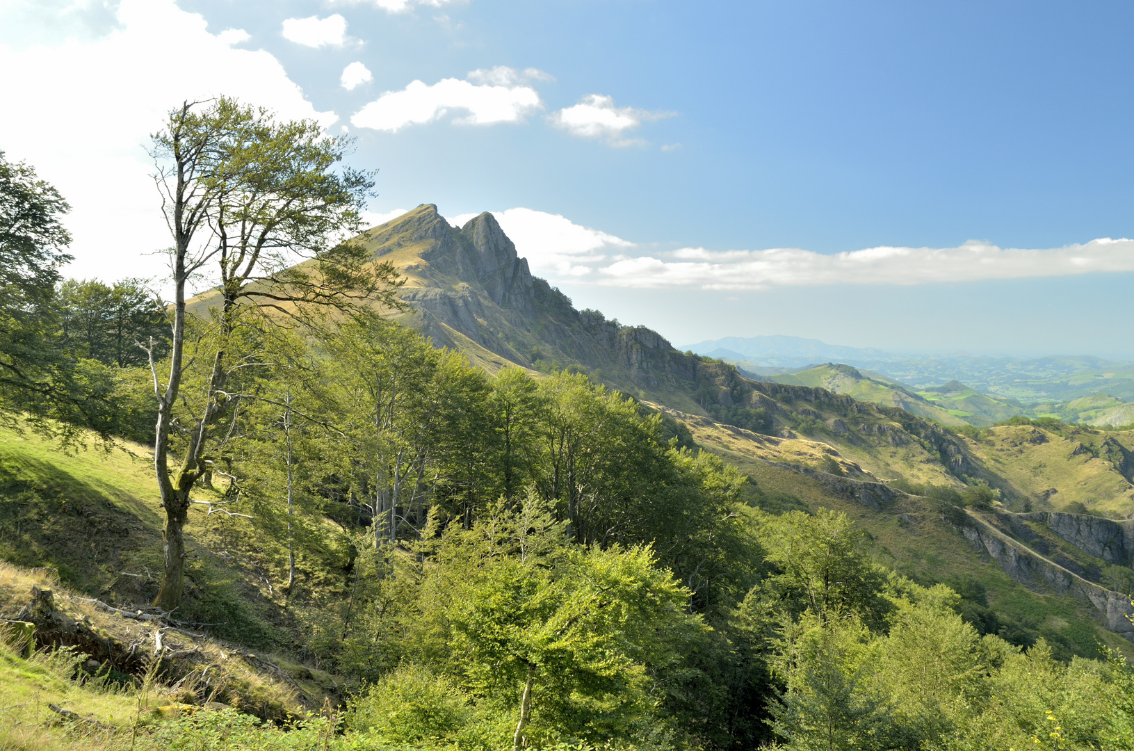 Iraty photo et image | paysages, paysages de montagne, pyrénées Images ...