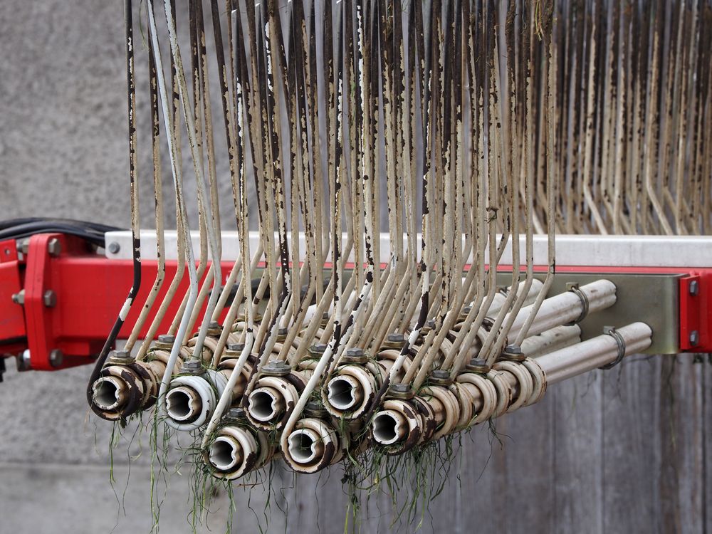 irgend etwas fürs grasen Foto & Bild | projekte, 7 - sonntags abstrakt ...