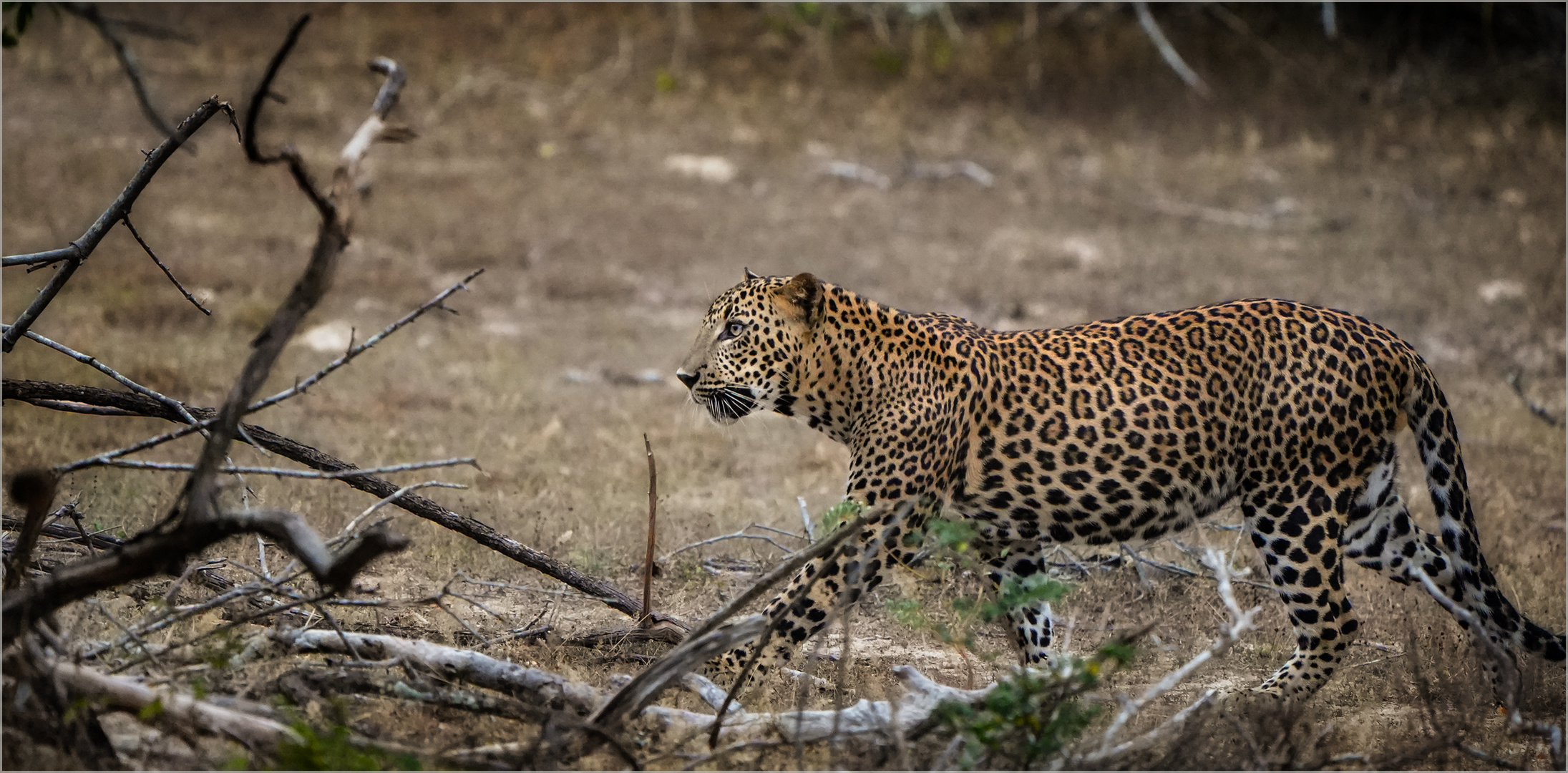 irgendwas ist da.... Foto & Bild | natur, tiere, wildlife Bilder auf ...