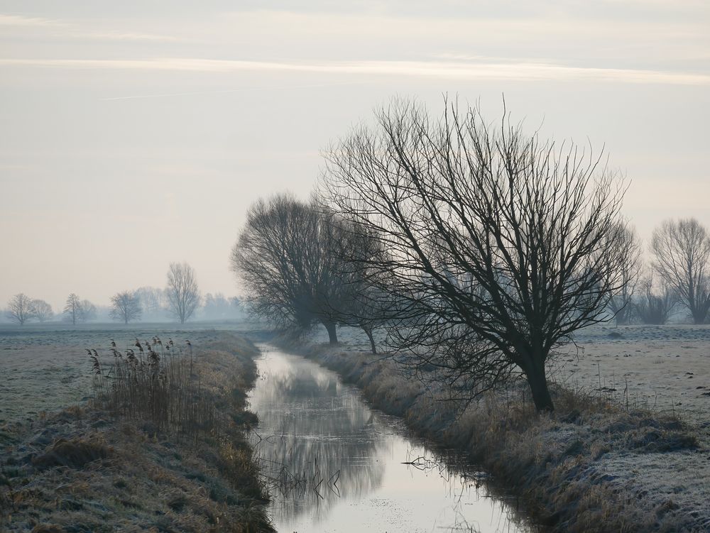 irgendwo ... Foto & Bild | januar, winter, natur Bilder auf fotocommunity