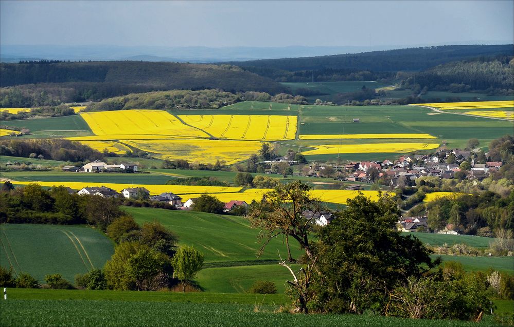 Irgendwo im Taunus Foto & Bild | frühling, natur, landschaft Bilder auf ...