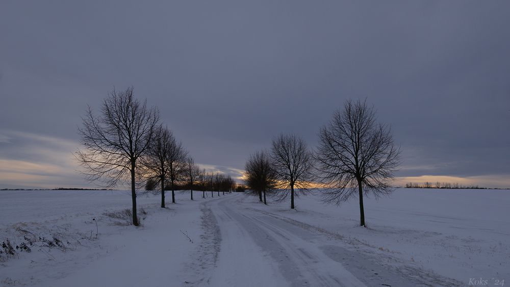 IRIS Foto & Bild | landschaft, jahreszeiten, winter Bilder auf fotocommunity