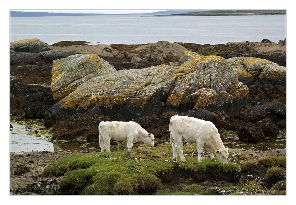 fotocommunity Portfolio von Fredi Gyger